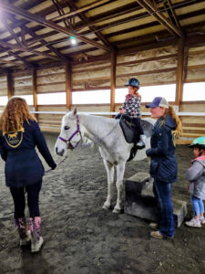 Blue Bell Stables | Ride The Horse