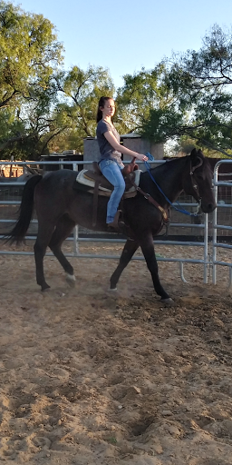 Westcreek Trail Rides | Ride The Horse