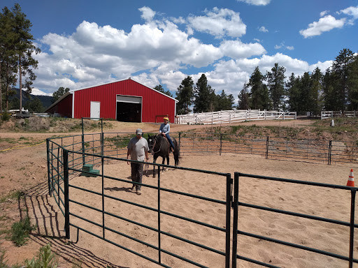 Green Meadow Stables Conifer | Ride The Horse