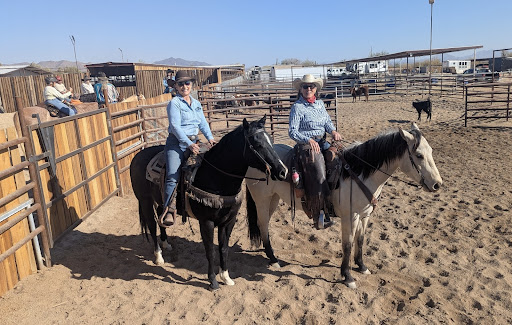 Hawk Ranch | Ride The Horse