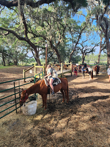 Three Oaks Farm (Beach) | Ride The Horse