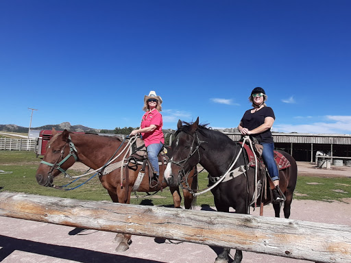 Blue Bell Stables | Ride The Horse