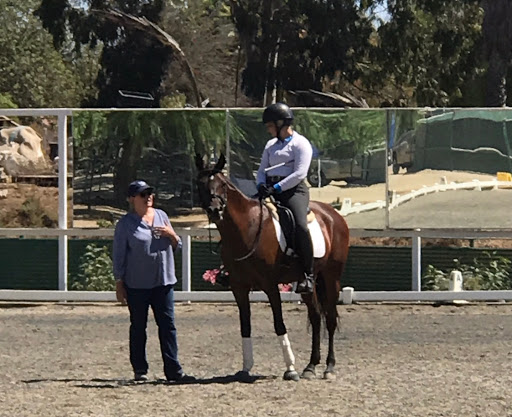 Bell Farms Stables | Ride The Horse