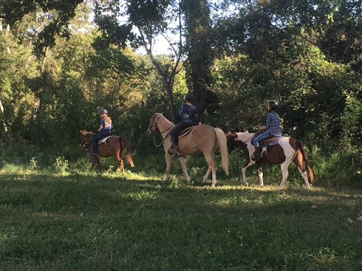 Tri-Star Farm | Ride The Horse