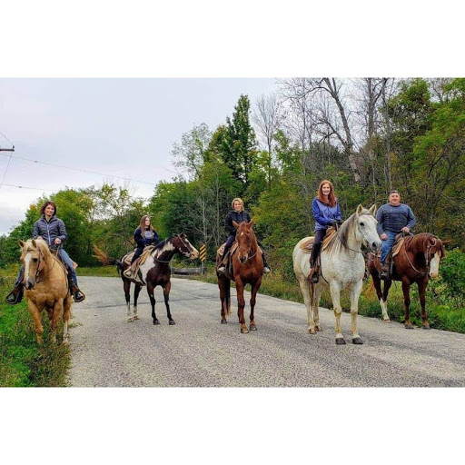 Palomino Pines Guest Ranch | Ride The Horse