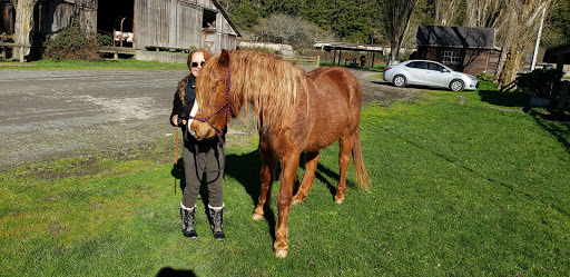 Freshwater Valley Stables | Ride The Horse