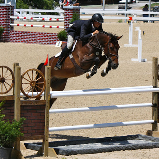 Augusta Pines Farm | Ride The Horse