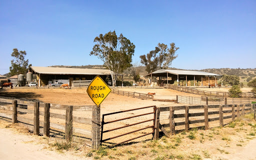 Kings River Ranch / Rancho Jonata | Ride The Horse