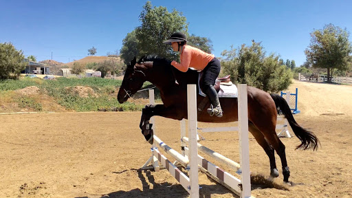 Vista Del Mar Ranch | Ride The Horse