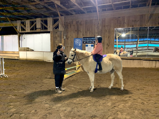 Verrill Farm Stable | Ride The Horse