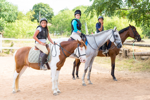 Westcreek Trail Rides | Ride The Horse